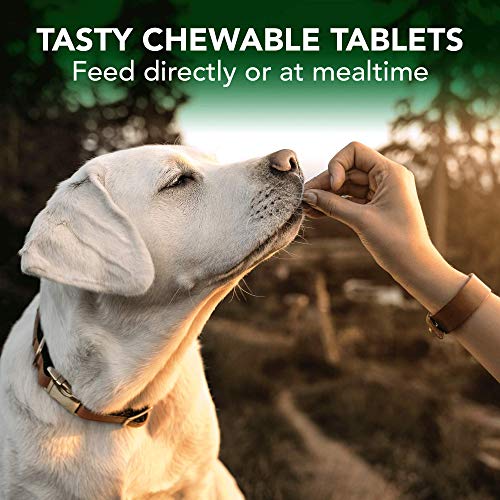 Vet’s Best Seasonal Allergy Relief | Dog Allergy Supplement | Relief from Dry or Itchy Skin | 60 Chewable Tablets