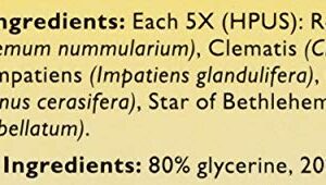 Bach RESCUE REMEDY PET Dropper 10mL, Natural Stress Relief, Calming for Dogs, Cats, & Other Pets, Homeopathic Flower Essence, Thunder, Fireworks, Travel, Separation, Sedative-Free