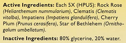 Bach RESCUE REMEDY PET Dropper 10mL, Natural Stress Relief, Calming for Dogs, Cats, & Other Pets, Homeopathic Flower Essence, Thunder, Fireworks, Travel, Separation, Sedative-Free