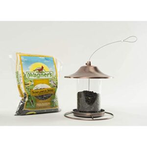 Wagner's 52023 Black Oil Sunflower Seed Wild Bird Food, 5-Pound Bag