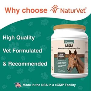 NaturVet MSM Methylsulfonylmethane Pure Joint Support Supplement for Horses, Powder, Made in The USA with Globally Source Ingredients 2 Pounds