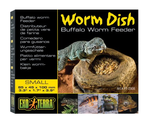 Exo Terra Worm Dish, Small