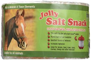 jolly pets stall snack refill salt