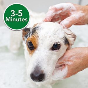 Vet's Best Medicated Oatmeal Shampoo for Dogs | Soothes Dog Dry Skin | Cleans, Moisturizes, and Conditions Skin and Coat | 16 Ounces