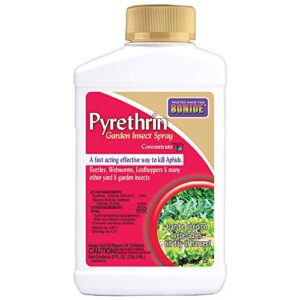 bonide pyrethrin garden insect spray concentrate, 8 oz ready-to-mix fast acting insecticide for outdoor garden use