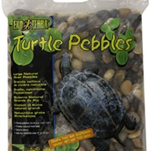 Exo Terra Turtle Pebbles, Large