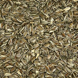 Kaytee Striped Sunflower Wild Bird Food 5 Pounds