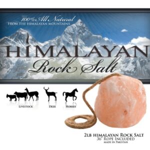 himalayan rock salt lick on a rope for horses