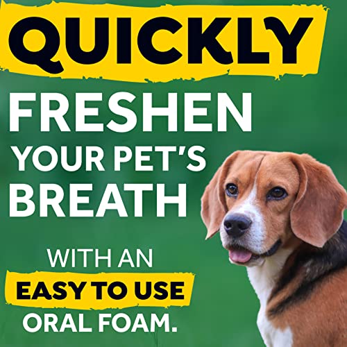 TropiClean Fresh Breath Foam for Dogs & Cats | Travel-Ready Dog Breath Freshener Foam for Stinky Breath | Made in the USA | 4.5 oz