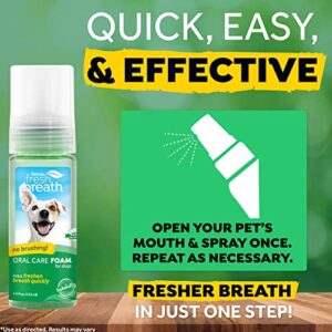 TropiClean Fresh Breath Foam for Dogs & Cats | Travel-Ready Dog Breath Freshener Foam for Stinky Breath | Made in the USA | 4.5 oz