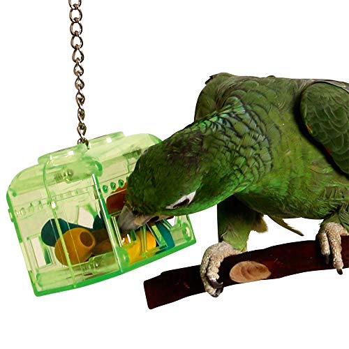 happypet The Bird House Interactive Treasure Bird Toy