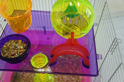 YML Clear Plastic Dwarf Hamster Mice Cage with Color Accessories, Pink