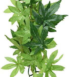 Exo Terra Silk Terrarium Plant, Small, Abutilon