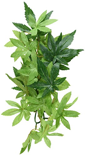 Exo Terra Silk Terrarium Plant, Small, Abutilon