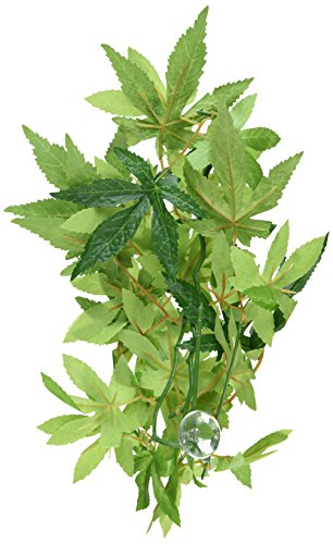 Exo Terra Silk Terrarium Plant, Small, Abutilon