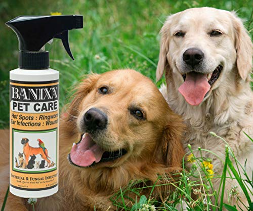 Banixx Pet Care 8oz for Ear Infections, Hot Spots, Itchy Dry Skin, Ringworm, Yeast Infections. Safe Around The Eye.