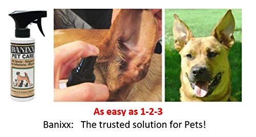 Banixx Pet Care 8oz for Ear Infections, Hot Spots, Itchy Dry Skin, Ringworm, Yeast Infections. Safe Around The Eye.