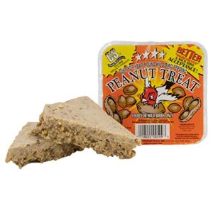 C&S Peanut Treat Suet - 11 oz.