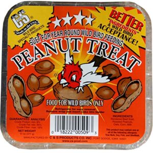 C&S Peanut Treat Suet - 11 oz.