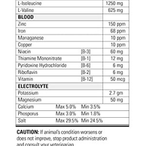 Ramard Blood Fluids Muscle Replenishment for Race Horses - Horse Supplements with Electrolytes, Blood Builder, & Muscle Builder, Powder Supplements for Horse Games High Performance, 2.3 lbs Jar