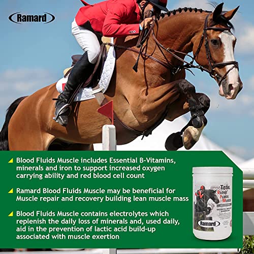 Ramard Blood Fluids Muscle Replenishment for Race Horses - Horse Supplements with Electrolytes, Blood Builder, & Muscle Builder, Powder Supplements for Horse Games High Performance, 2.3 lbs Jar