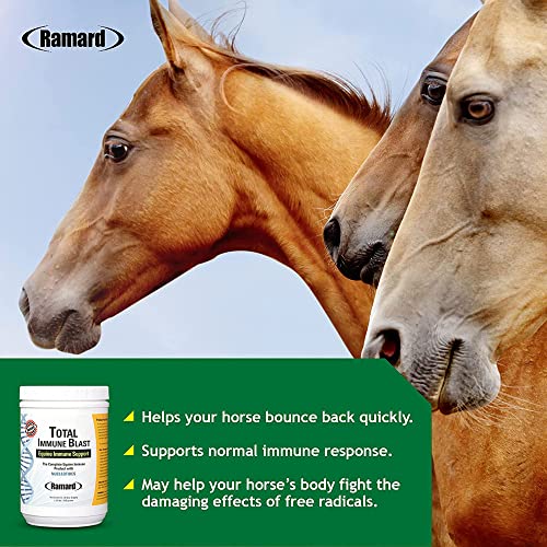 Ramard Total Immune Blast - Equine Immune Support, Horse Vitamin & Powder Supplement w/Zinc, Selenium, Omega 3, Omega 6 & Vitamins w/Nucleotides, Equine Powder & Supplements 1.12 lbs. 30 Days Supply