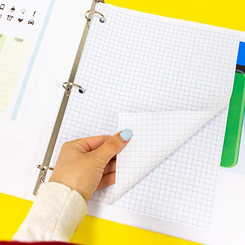 BAZIC Filler Paper Loose Leaf Papers 100 Sheet, 4-1" Quad Ruled, 3 Hole Punched for Ring Binders, Graph Drafting for Office School Student, 1-Pack