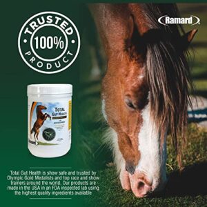 Ramard Total Gut Health Horse Supplement for Digestion, Horse Powder Supplement for Gastrointestinal Health & Total Gut Balance, Equine Feed Powder Horse Gut Health Supplement - 1.12lb, 30-Day Supply