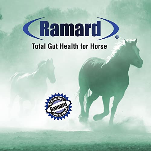 Ramard Total Gut Health Horse Supplement for Digestion, Horse Powder Supplement for Gastrointestinal Health & Total Gut Balance, Equine Feed Powder Horse Gut Health Supplement - 1.12lb, 30-Day Supply