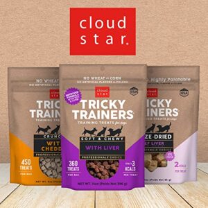 Cloud Star Tricky Trainers Soft & Chewy Dog Training Treats 5 oz Pouch, Salmon Flavor, Low Calorie Behavior Aid with 130 treats