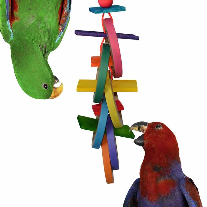 Super Bird Creations SB625 Olympic Rings Bird Toy, Large Bird Size, 15” x 4” x 4”