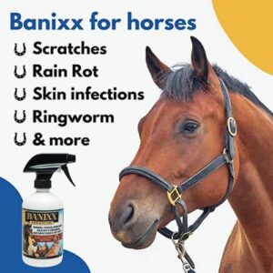 Banixx Horse and Pet Care 16 oz