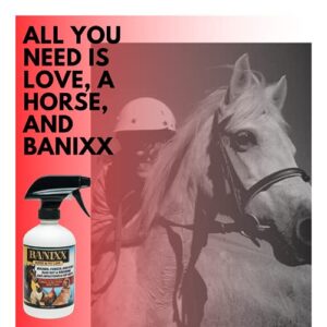 Banixx Horse and Pet Care 16 oz