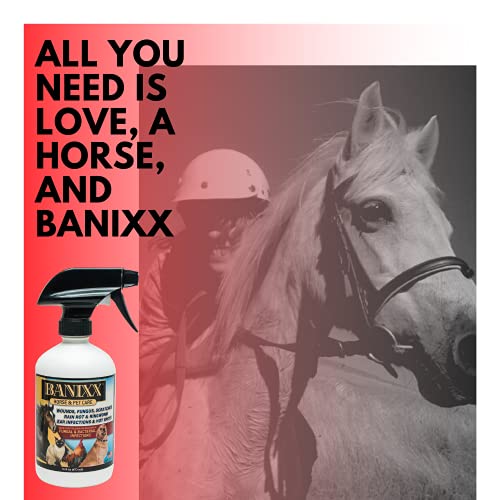 Banixx Horse and Pet Care 16 oz