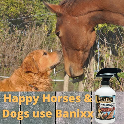 Banixx Horse and Pet Care 16 oz