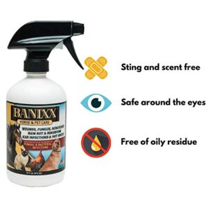 Banixx Horse and Pet Care 16 oz