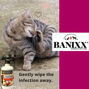 Banixx Horse and Pet Care 16 oz