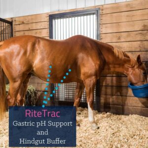 Kentucky Equine Research RiteTrac: Total Digestive Tract Support for Horses, 6 kg (50 Servings)