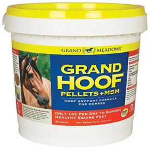 grand meadows grand hoof with msm-5lbs