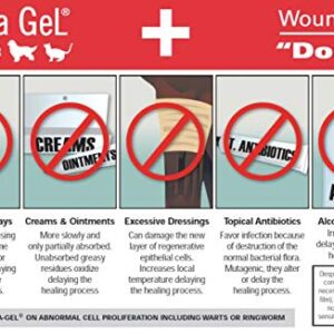 Veterinus Derma GeL Tube 100ml - 3.4fl.oz. (+ 10ml Tube Included)