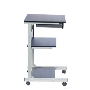 Techni Mobili RTA-B018-GPH06 Rolling Laptop Cart with Storage, Graphite