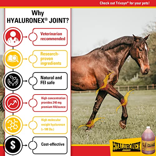 Hyaluronex - Liquid Joint Supplement for Senior Horses - Half Gallon (64 Days Supply)