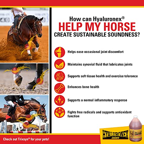 Hyaluronex - Liquid Joint Supplement for Senior Horses - Half Gallon (64 Days Supply)