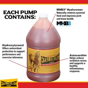 Hyaluronex - Liquid Joint Supplement for Senior Horses - Half Gallon (64 Days Supply)