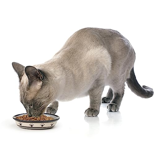 PetRageous 44247 Oval Metro Paws Stoneware Cat Bowl 6.25-Inch Wide and 1.5-Inch Tall Saucer with 1-Cup Capacity and Dishwasher and Microwave Safe for Small Dogs and Cats, Multicolored