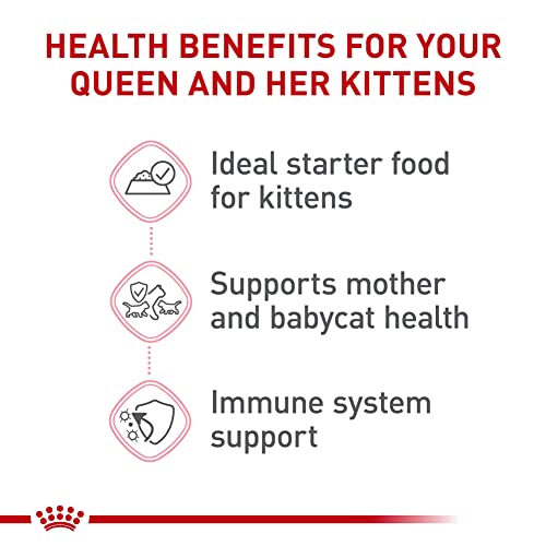 Royal Canin Feline Health Nutrition Mother & Babycat Ultra Soft Mousse in Sauce Canned Cat Food, 3 oz (Pack of 24)