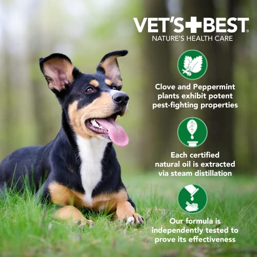 Vet's Best Flea and Tick Home Spray - Dog Flea and Tick Treatment for Home - Plant-Based Formula - Certified Natural Oils - 32 oz