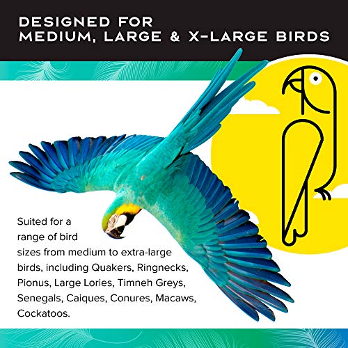 Featherland Paradise | Hanging Buffet Ball | Interactive Bird Toy and Treat Dispenser | Creative Foraging Systems | Ideal for Medium to Extra Large Birds