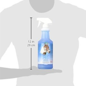 Bio-groom Quick Clean Waterless Shampoo for Horses (32 oz)