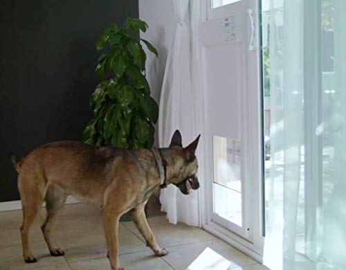 Power Pet Large Electronic Pet Door PX-2